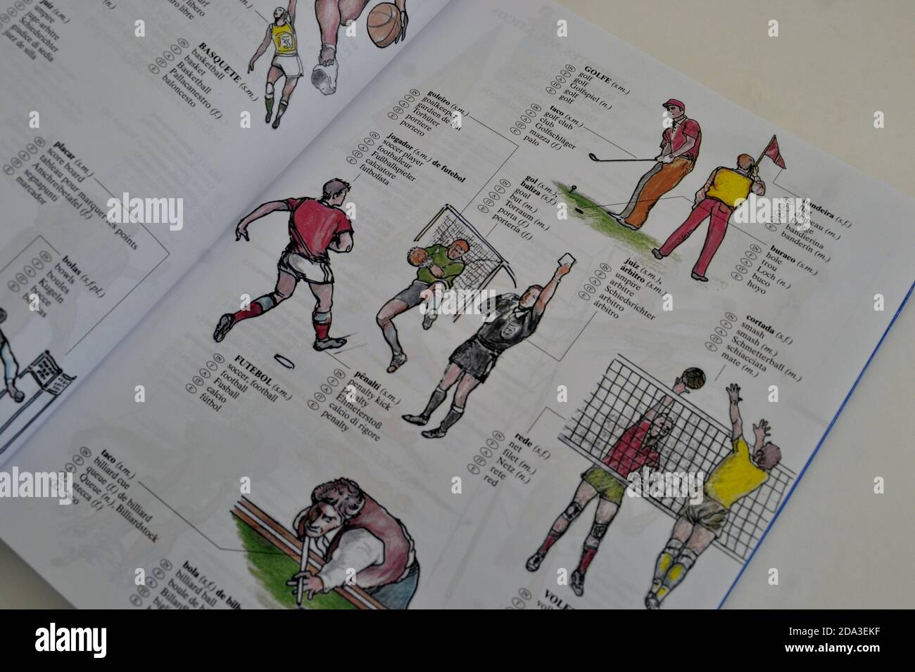 Multilingual Dictionary, book printed in Brazil, with drawings of ...