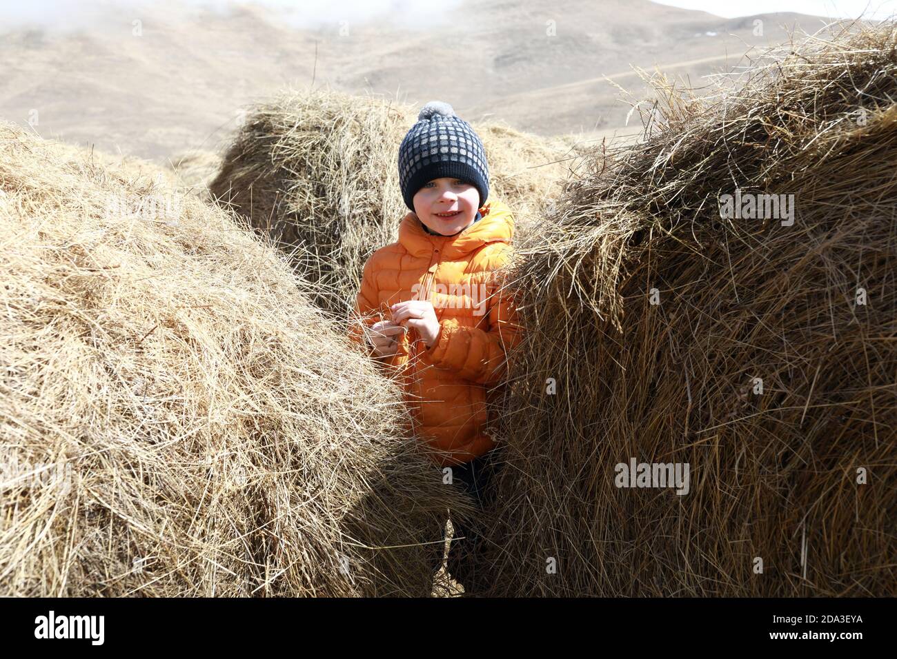 Child among hay bales on farm, Kabardino-Balkaria, Russia Stock Photo ...