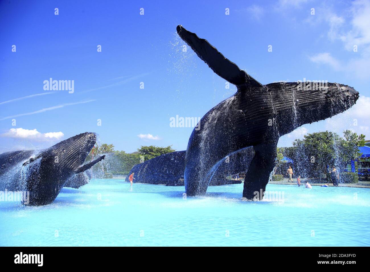 Big winged whale pond hi-res stock photography and images - Alamy