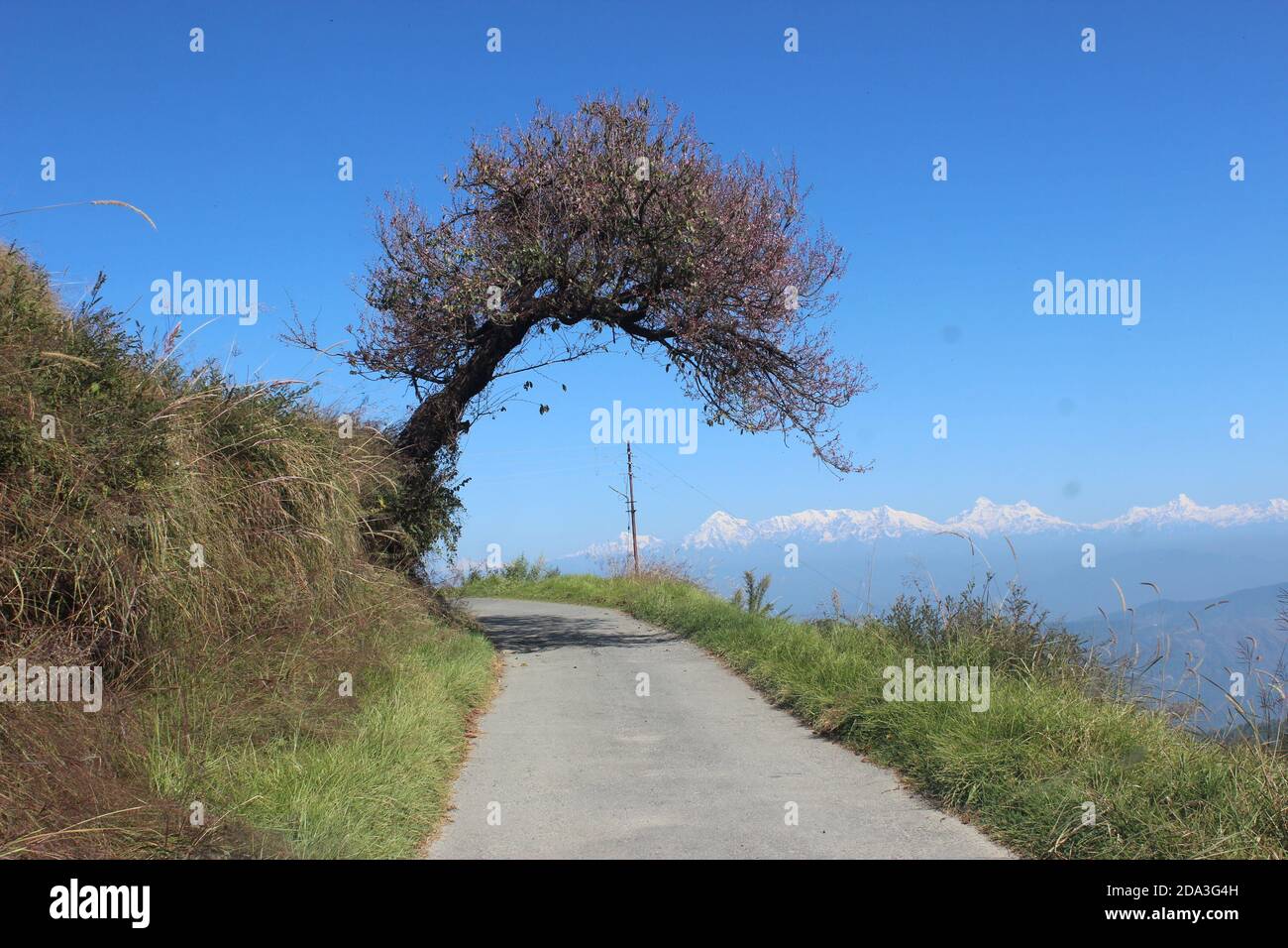 Kumaon hi-res stock photography and images - Alamy