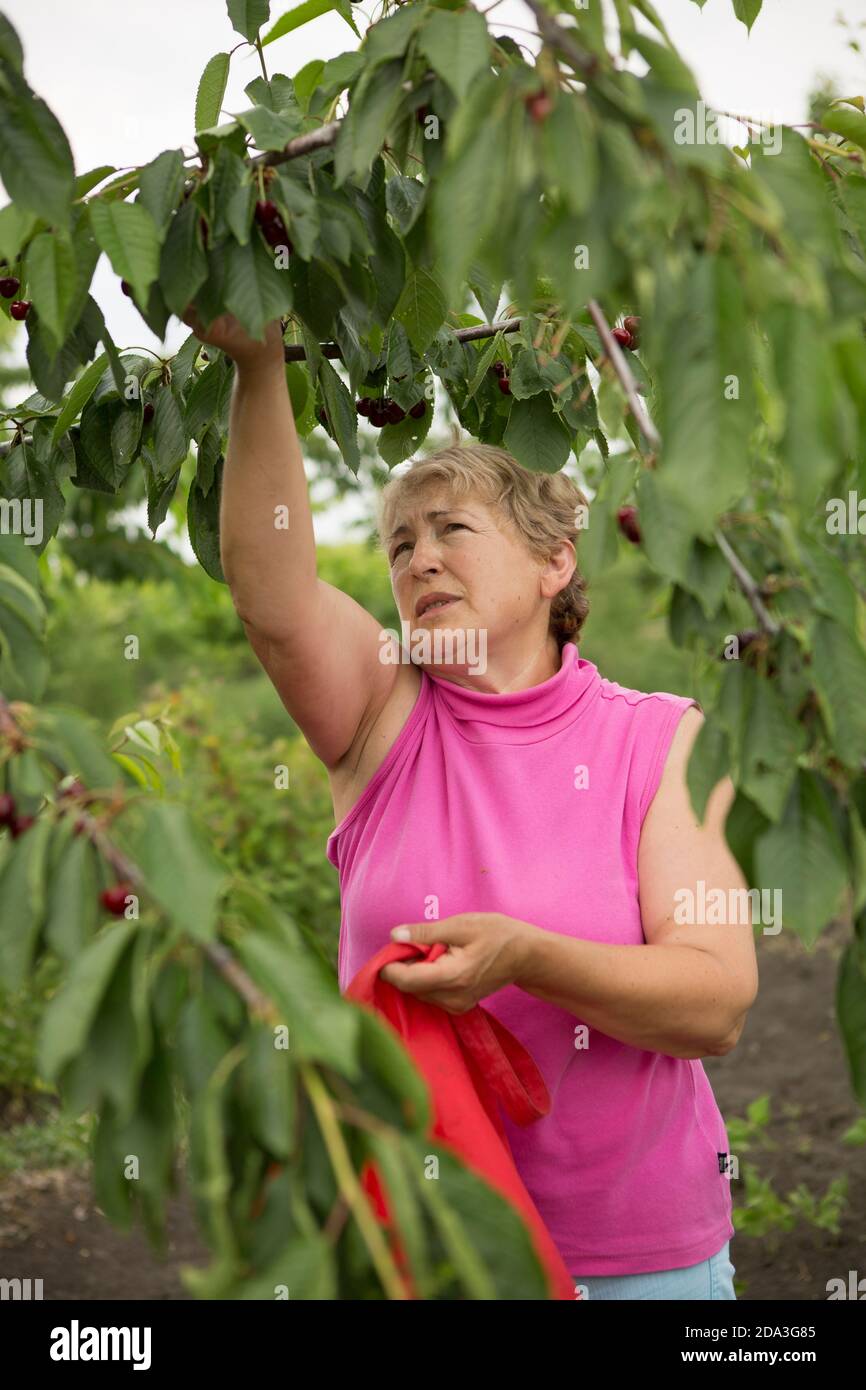 Farm moldova hi-res stock photography and images - Alamy