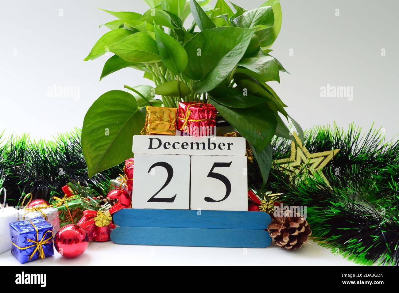 Date 25th December with plants and Christmas decoration background ...