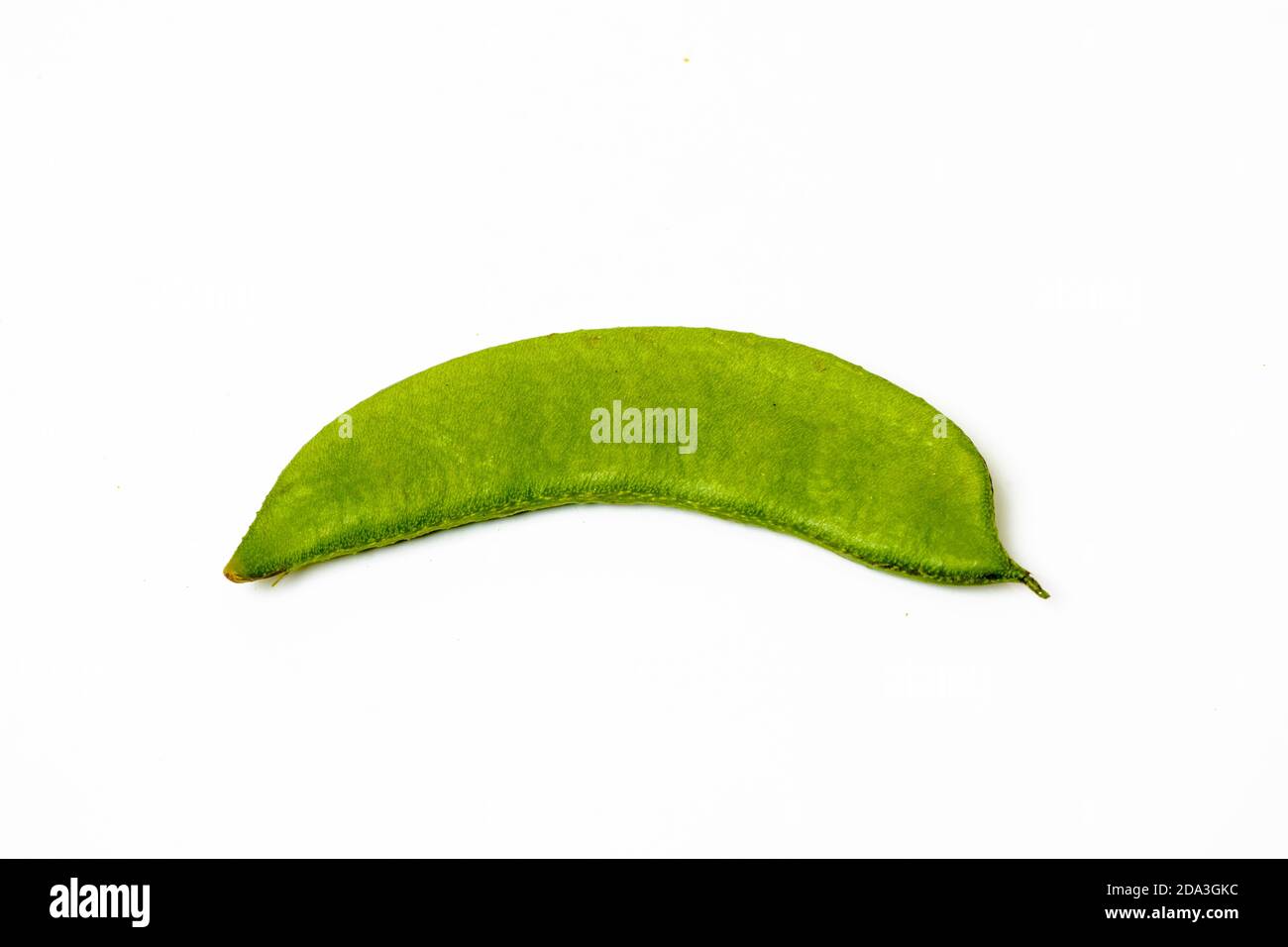 Single green bean isolated on white background Stock Photo - Alamy