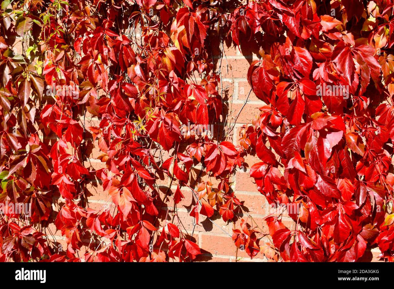 Virginia garden festival hi-res stock photography and images - Alamy