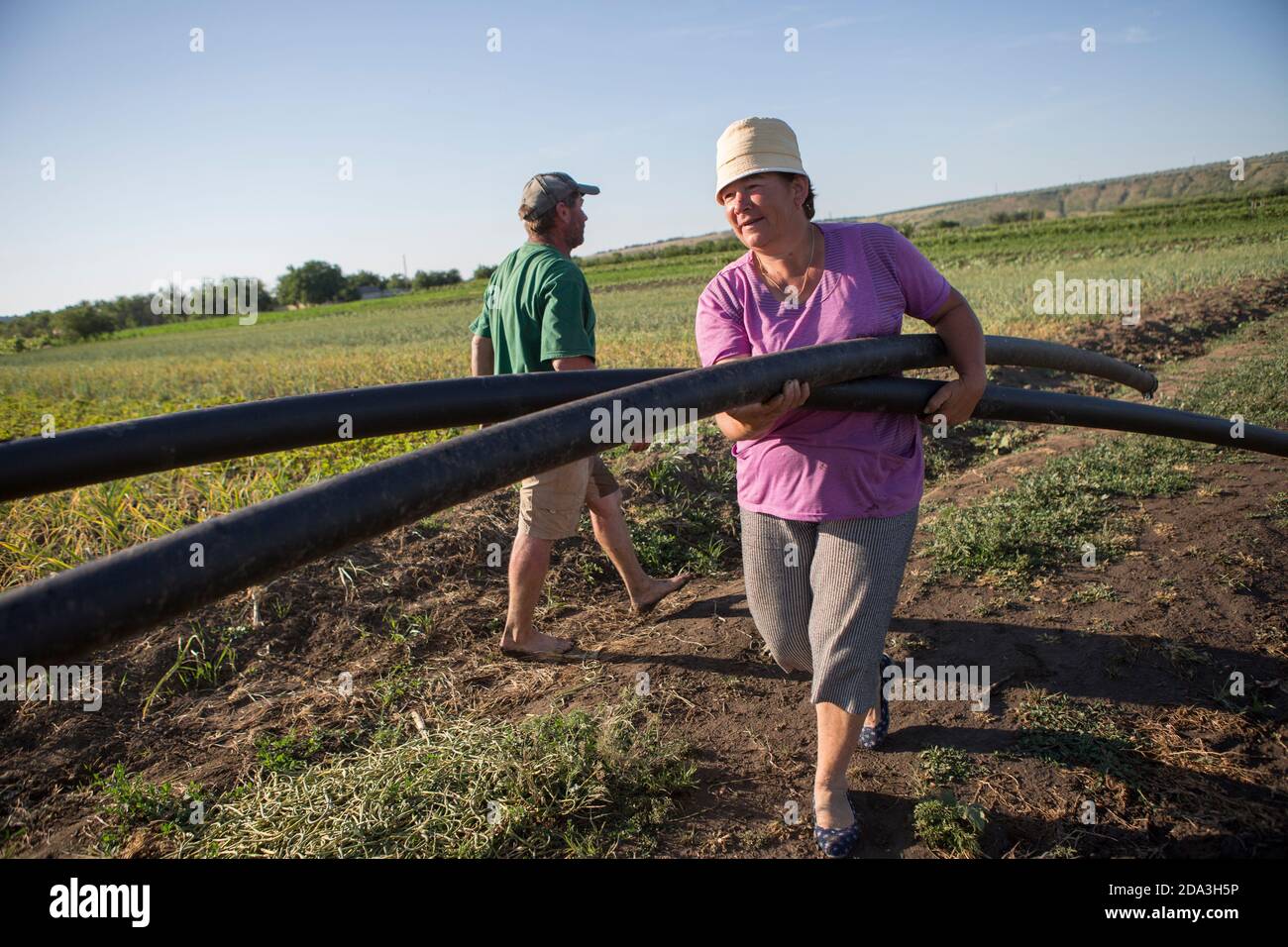 These farmers are benefitting from the use of irrigation in their ...
