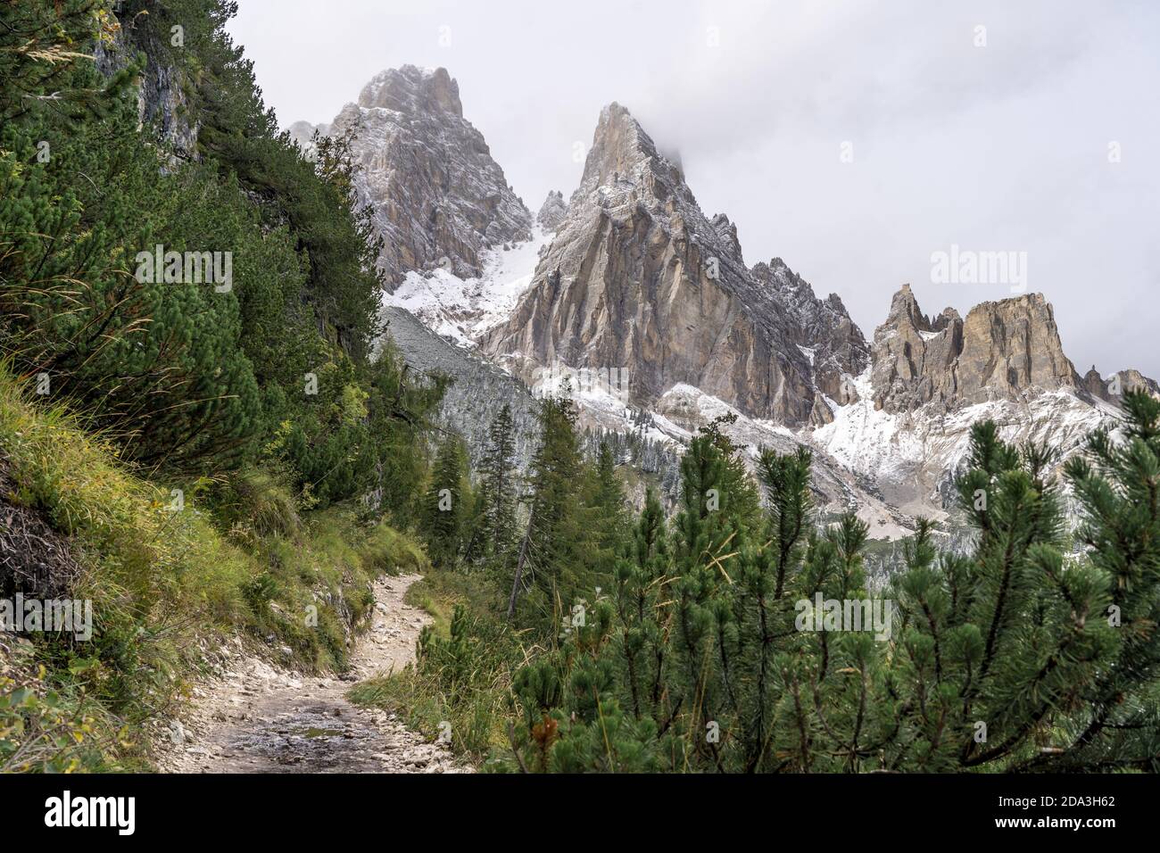Breathtaking shot of trees with snow-covered mountains in Dolomites ...