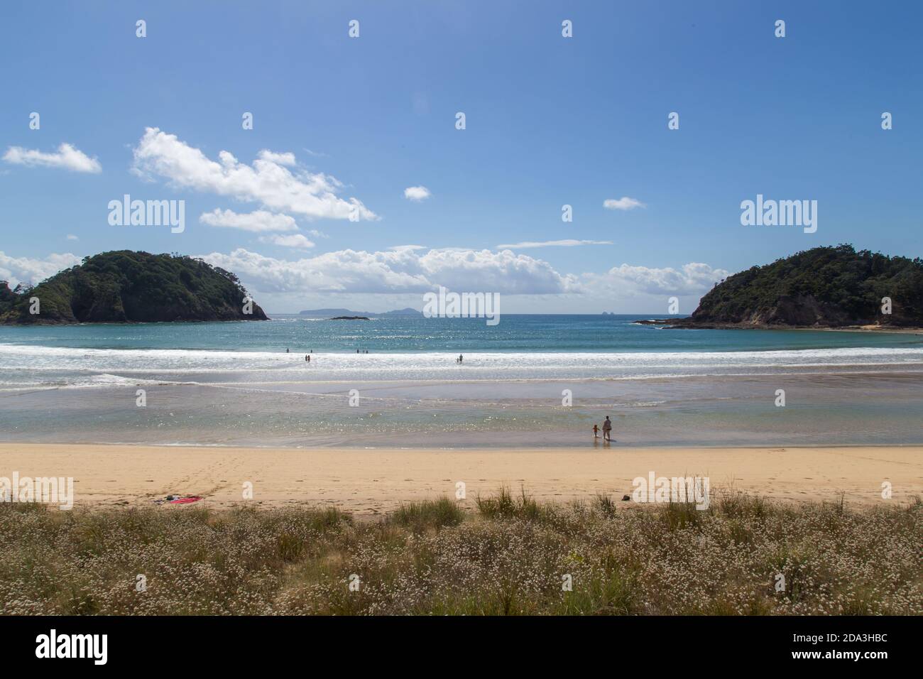 Whale Bay at the Tutukaka coast in New Zealand Stock Photo - Alamy