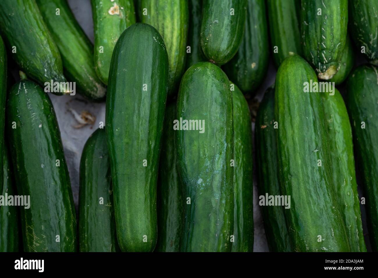 Green cucumbers on supermarket. Organic eating. Agriculture retailer ...