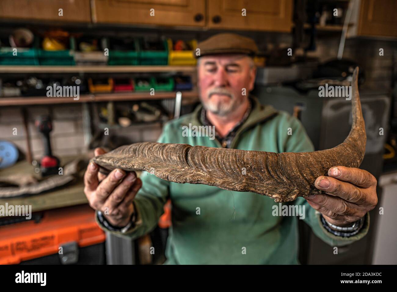 Crook Horn High Resolution Stock Photography and Images - Alamy