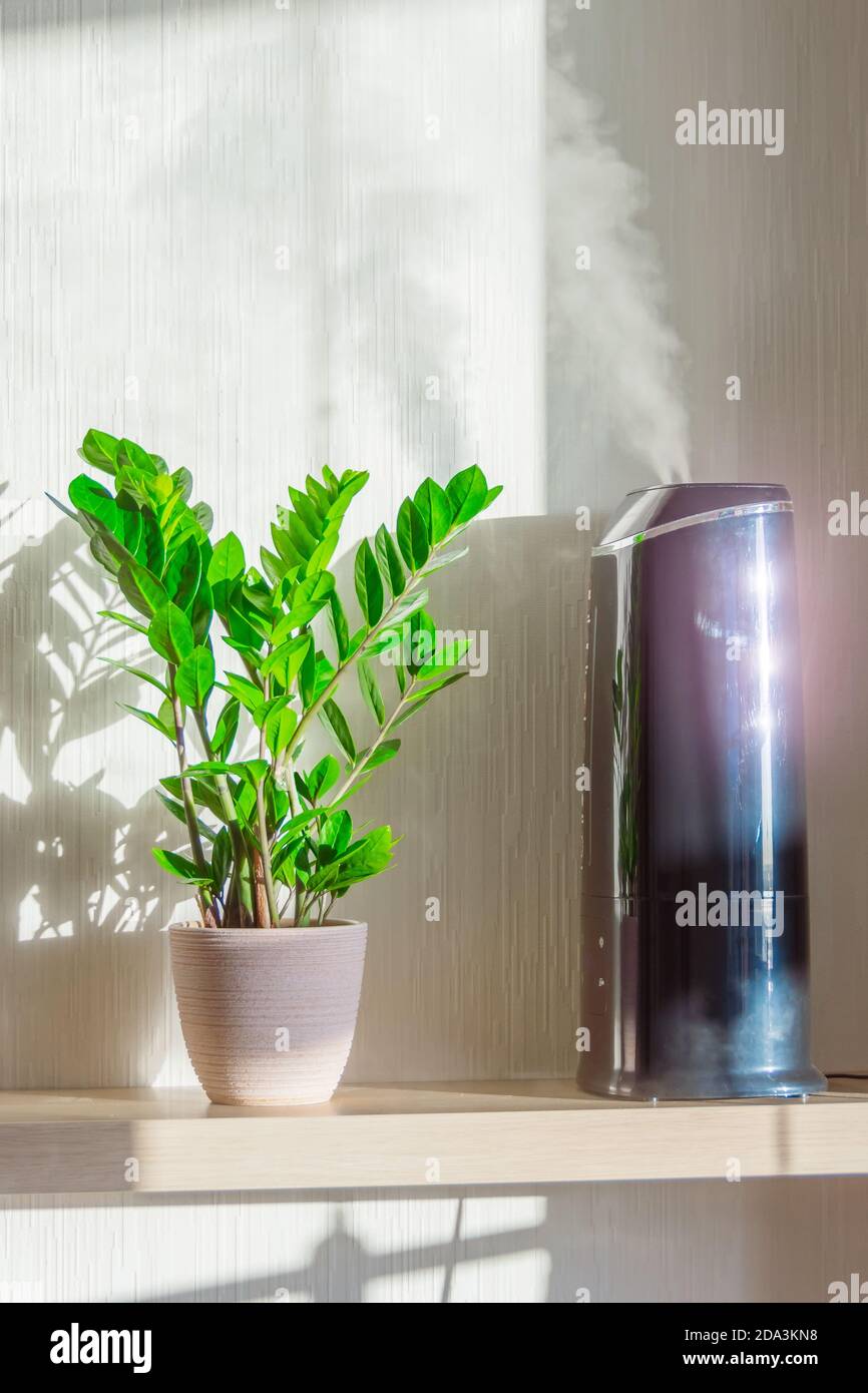 Dry steam plants hi-res stock photography and images - Alamy