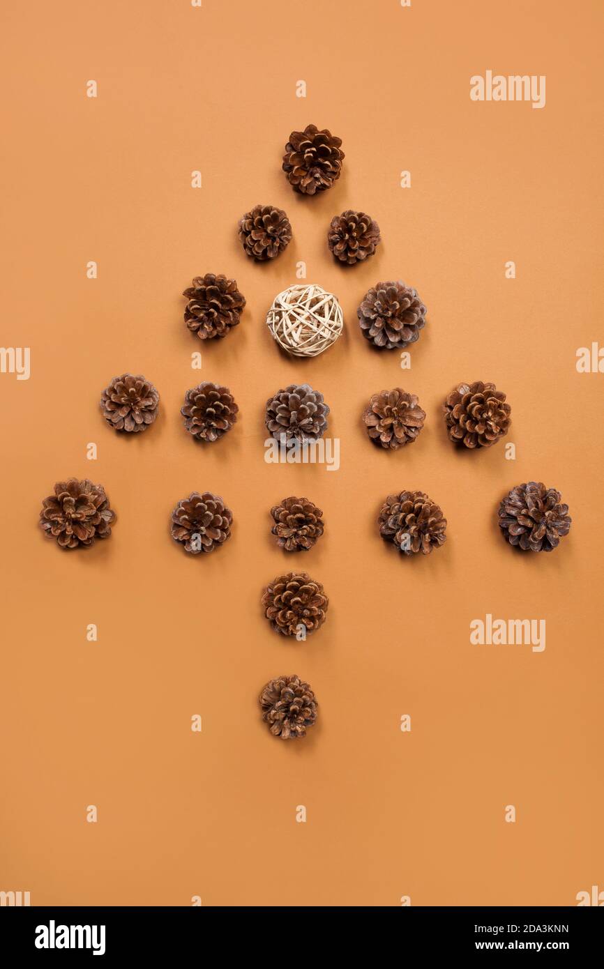 Tree still life hi-res stock photography and images - Alamy