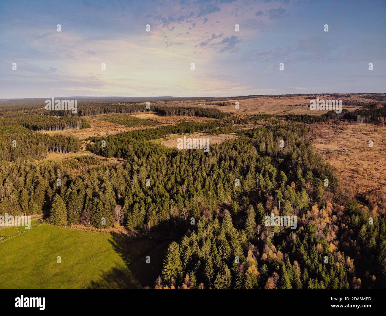Aerial drone shot of High Fens Hohes Venn Hautes Fagnes Hoge Venen ...