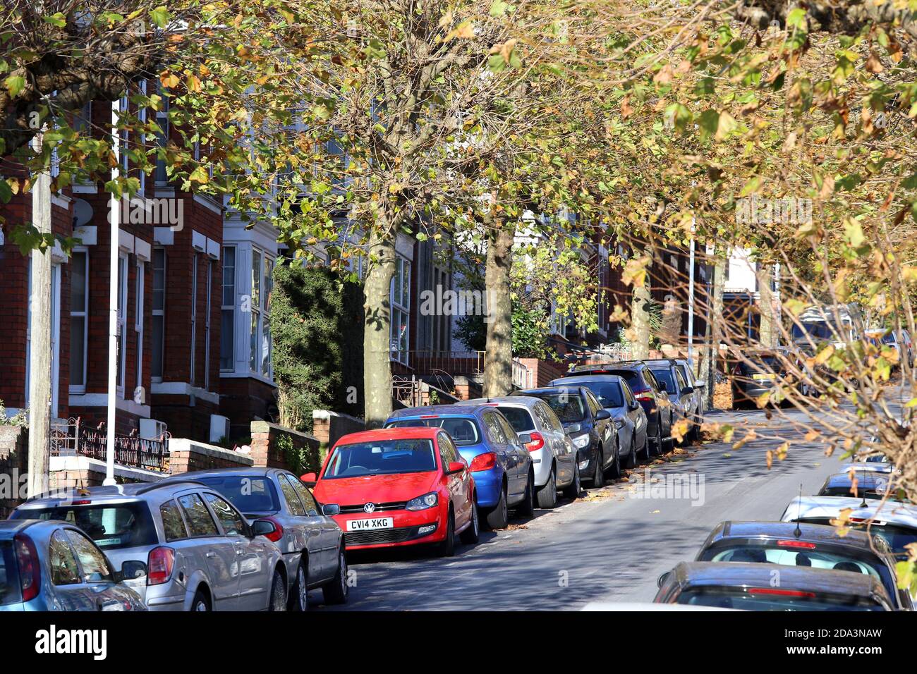 Tree lined city street full of parked cars Stock Photo - Alamy