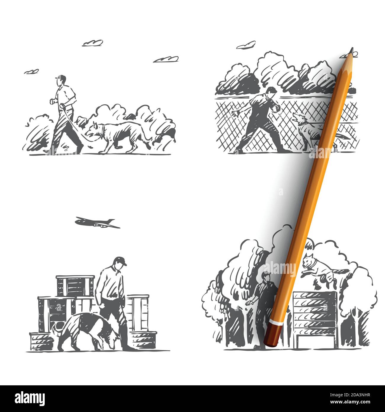 Special breed dog Cut Out Stock Images & Pictures - Alamy