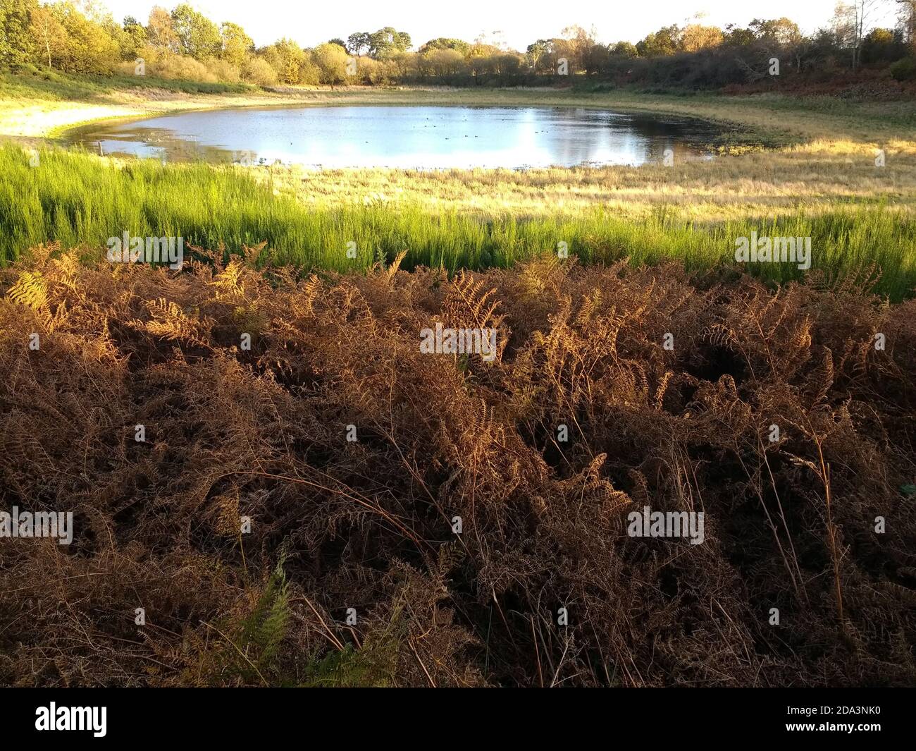 Landscape of beautiful ancient mere tranquil water lake in nature ...