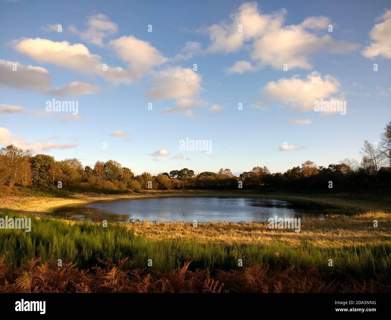 Landscape of beautiful ancient mere tranquil water lake in nature ...