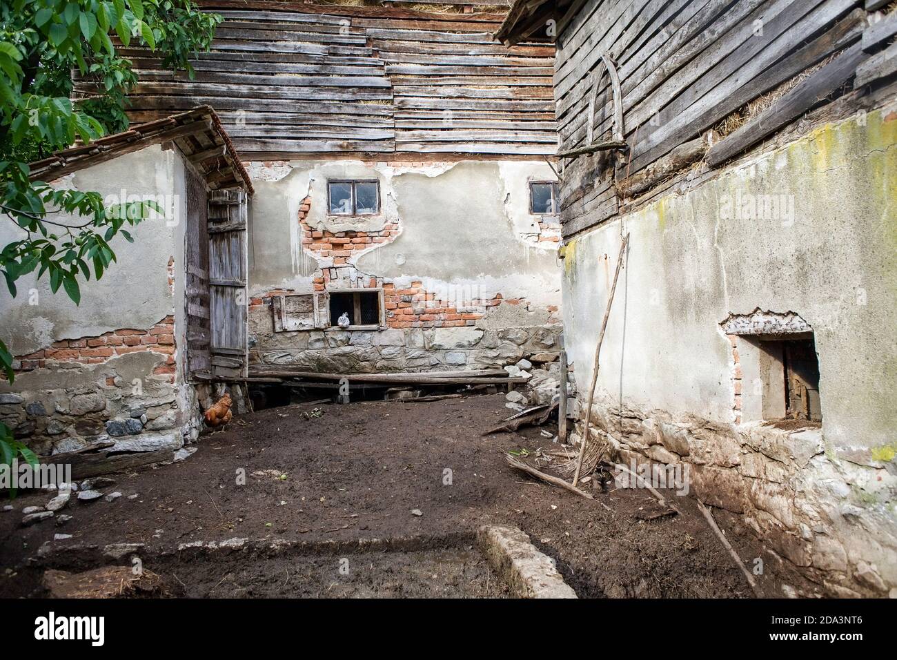 Yard in a Serbian Balkan village with a couple of poultry, a field ...