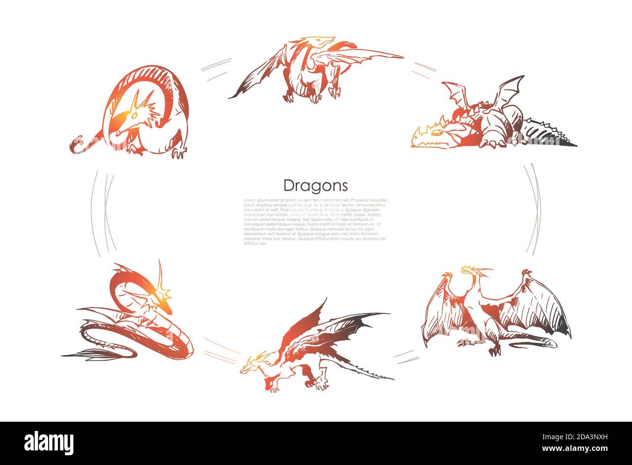 Dragons - different types of dragons vector concept set Stock Vector ...