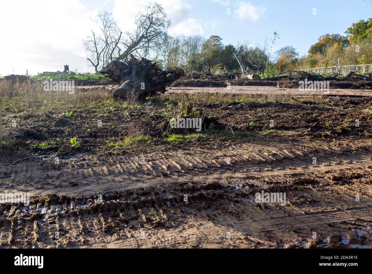 Hs2 replanting hi-res stock photography and images - Alamy