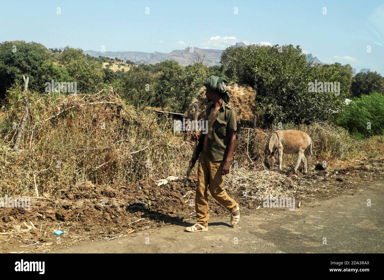 Tplf 2020 hi-res stock photography and images - Alamy