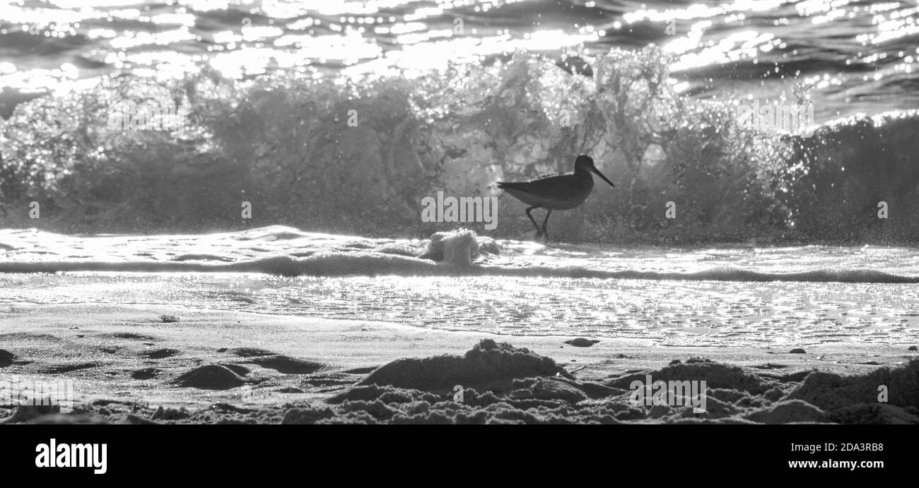 Expressions serene Black and White Stock Photos & Images - Alamy