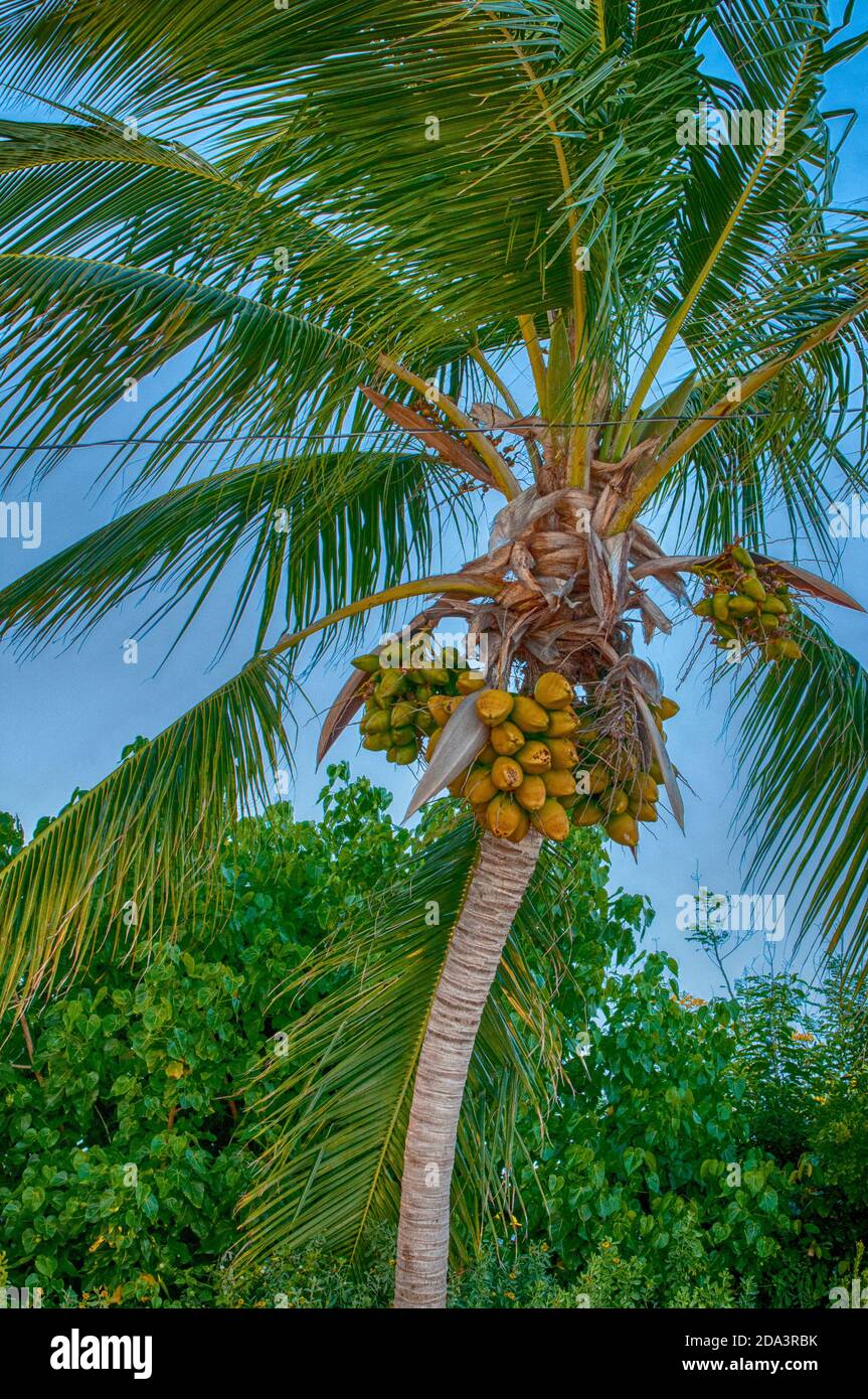 Ocean Air and atmosphere adds moody expressions Stock Photo - Alamy