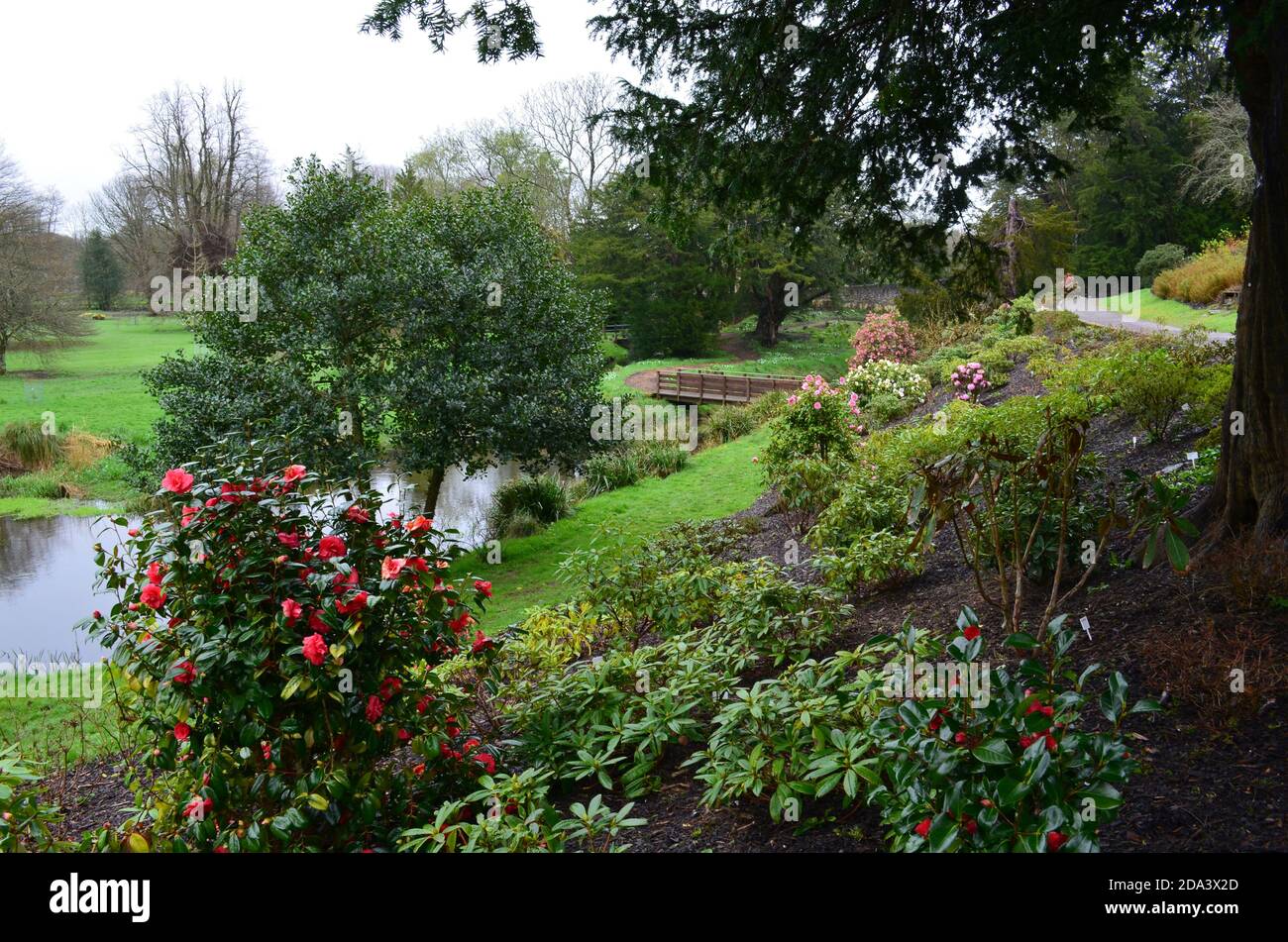 Irish garden with walking trails in a park Stock Photo - Alamy