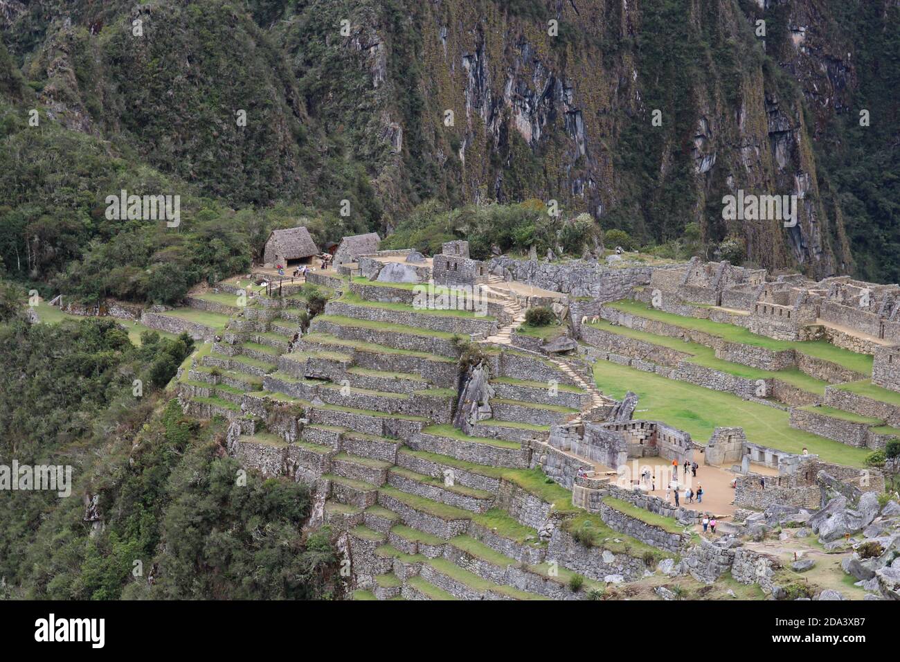 An aerial view of the back section of Machu Picchu, including farming ...