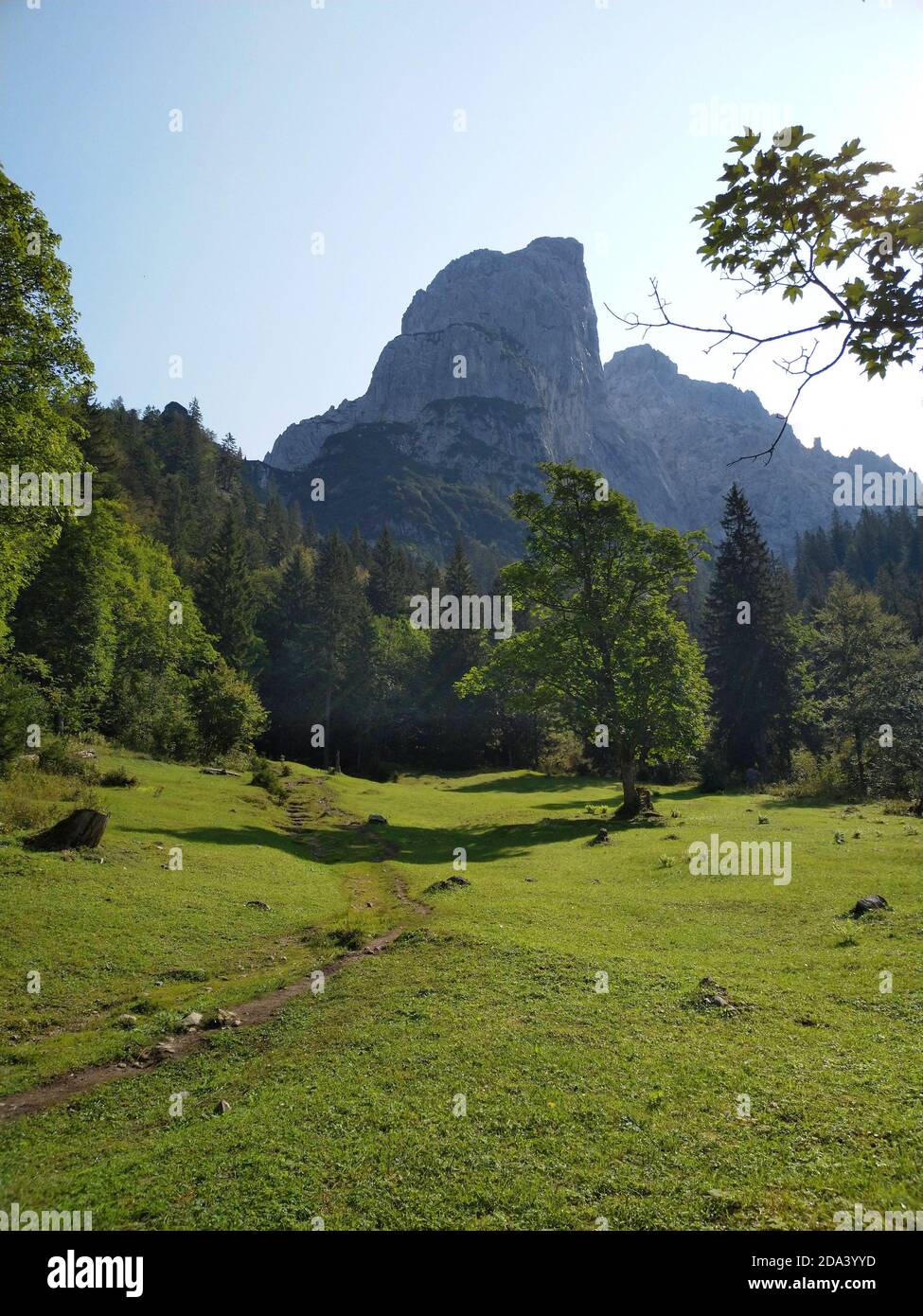 hiking on the mountain Stripsenkopf Stock Photo - Alamy