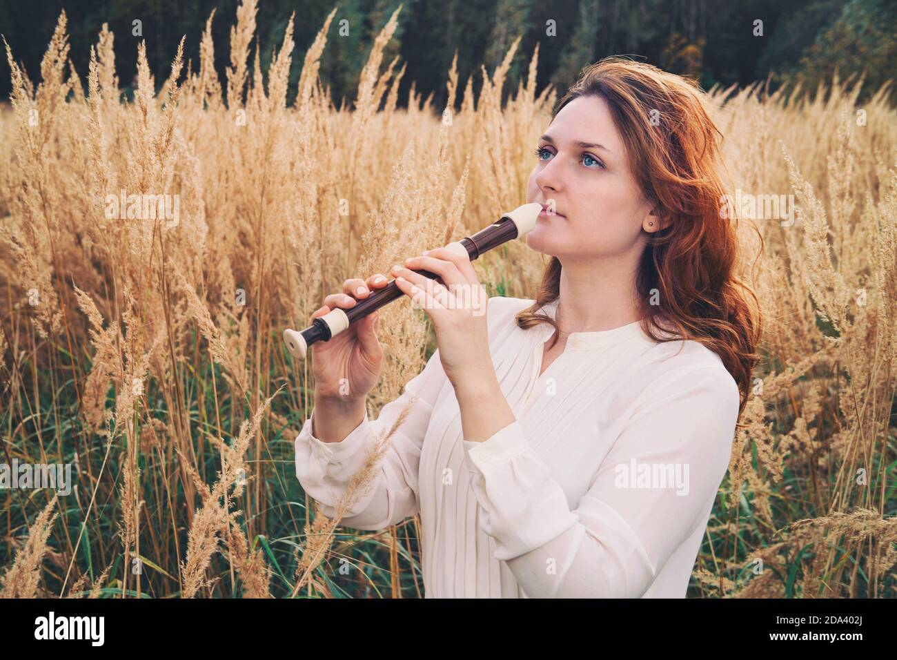 Flute wind grass hi-res stock photography and images - Alamy
