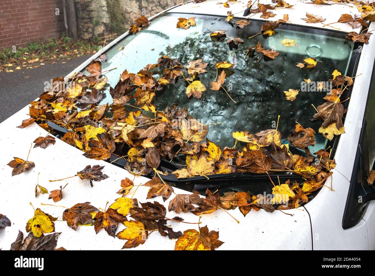 Tree fallen onto roof hi-res stock photography and images - Alamy