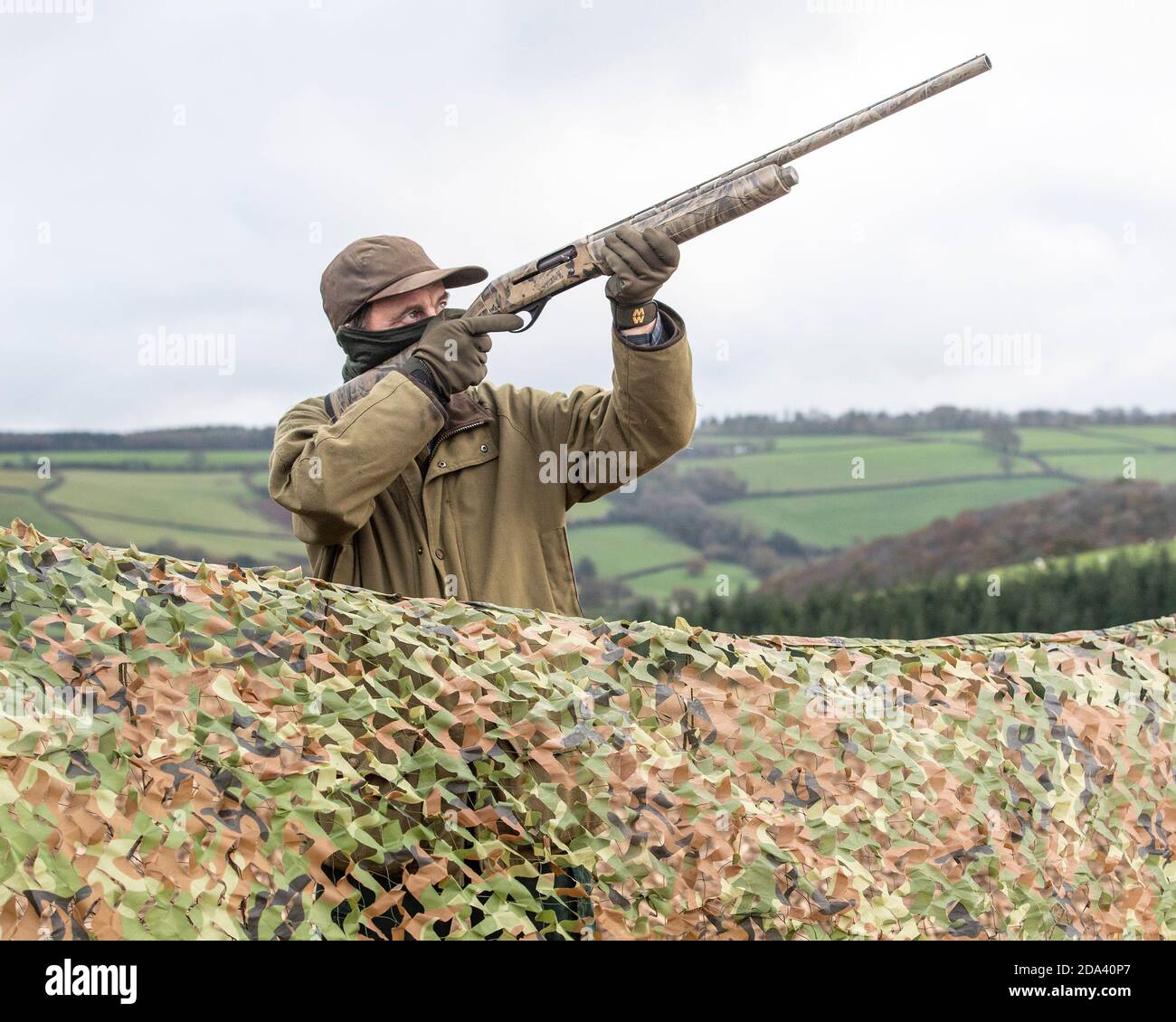 man shooting pigeons from a hide Stock Photo - Alamy