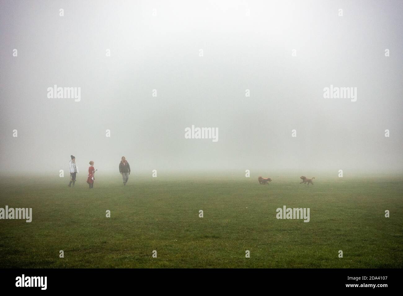 three people and dogs in a very foggy public park Stock Photo - Alamy