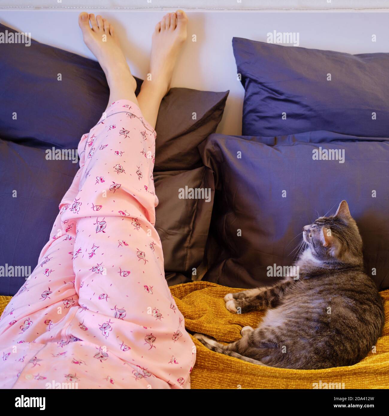 Woman lies on a bed next to a cat, legs closeup. Feet quarantined girl ...