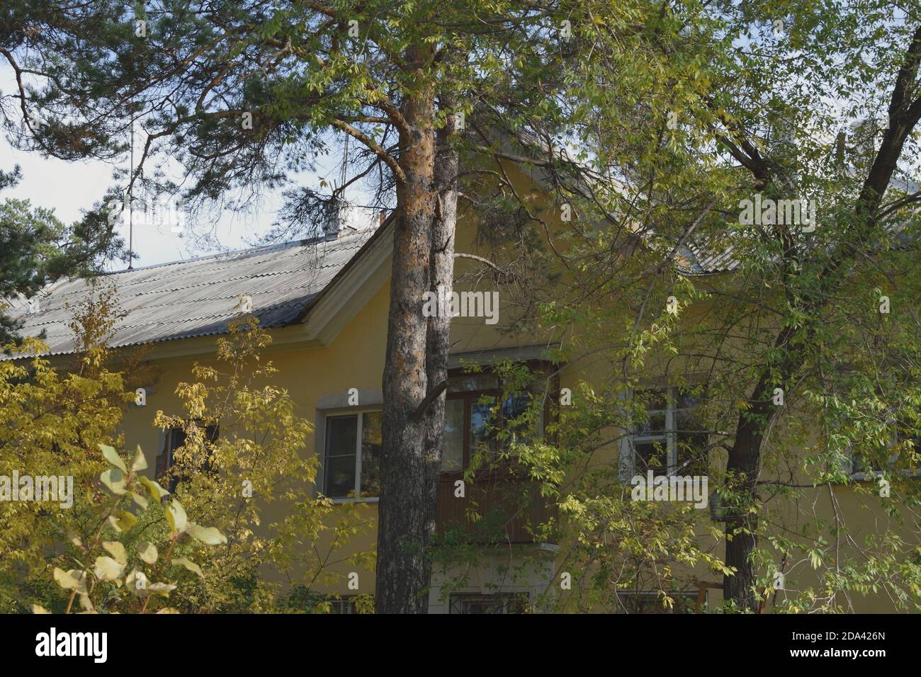Pretty Apartment Building Seen Through Autumn Foliage in Angarsk ...
