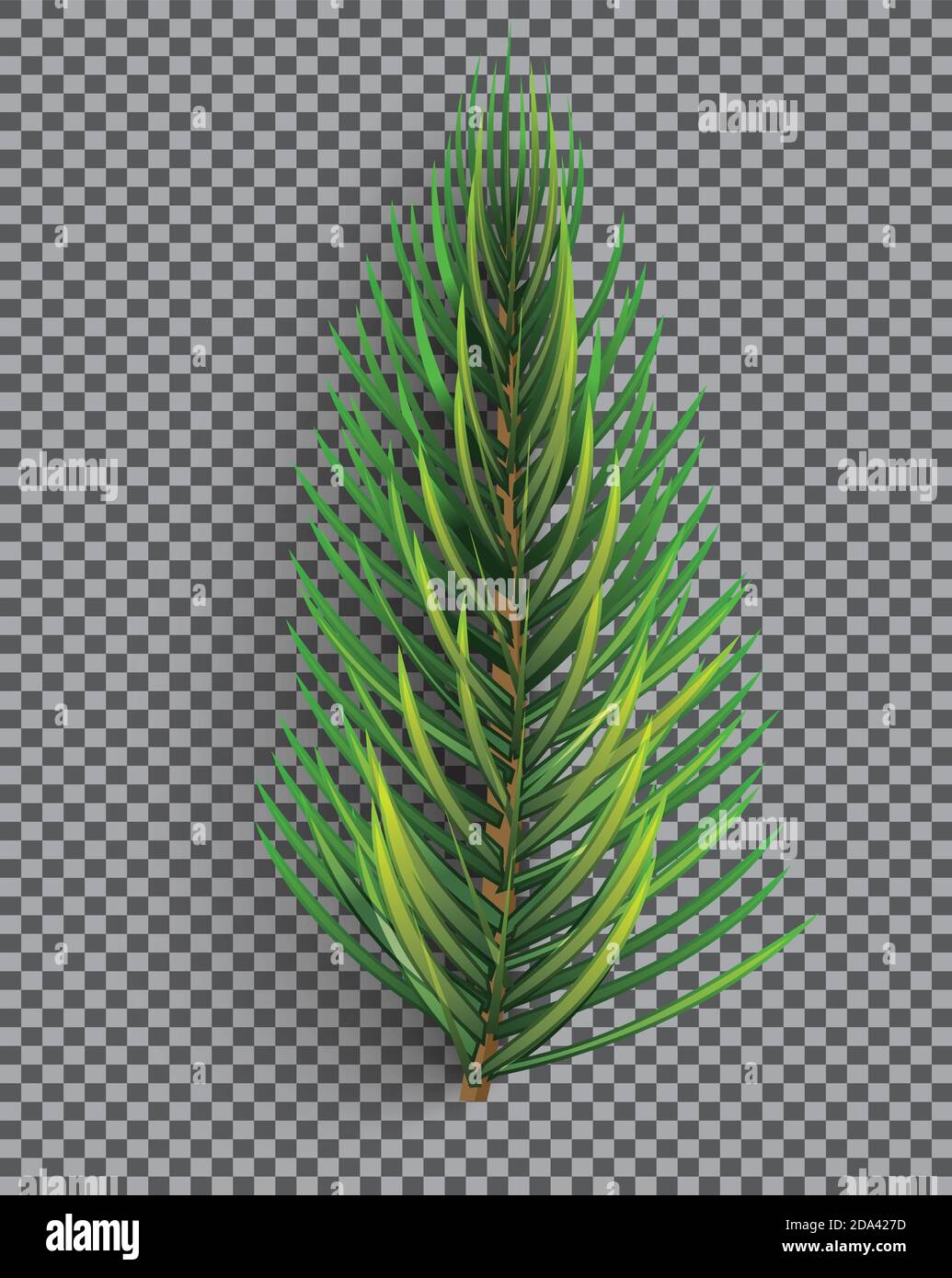 Fir Branch. Christmas Tree. Vector Illustration. Pine Sprig on ...