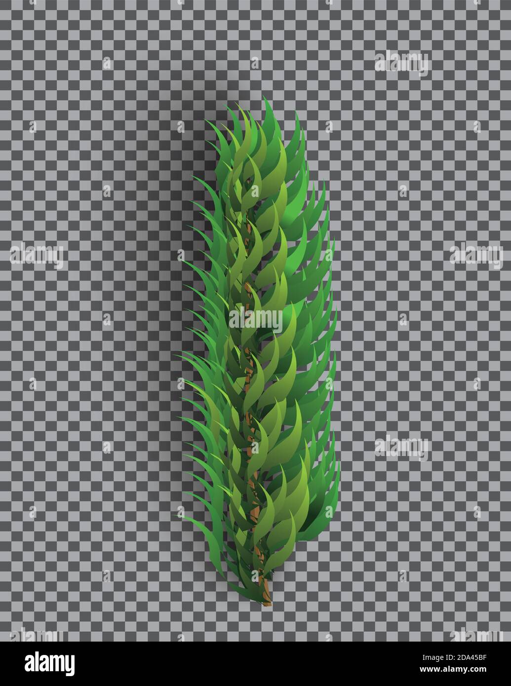 Fir Branch. Christmas Tree. Vector Illustration. Pine Sprig on ...