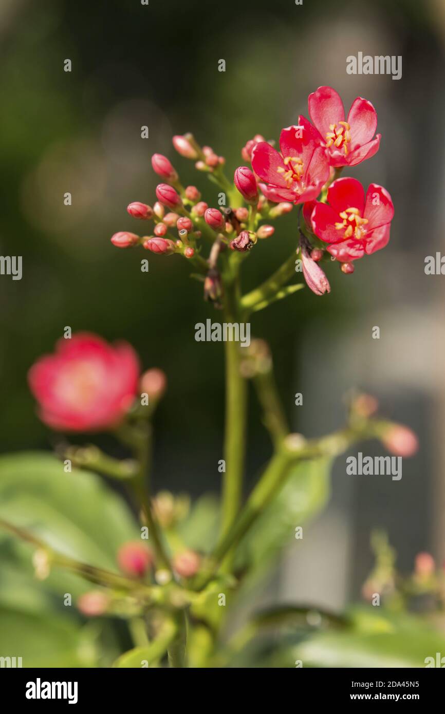 Xinzhuang district hi-res stock photography and images - Alamy