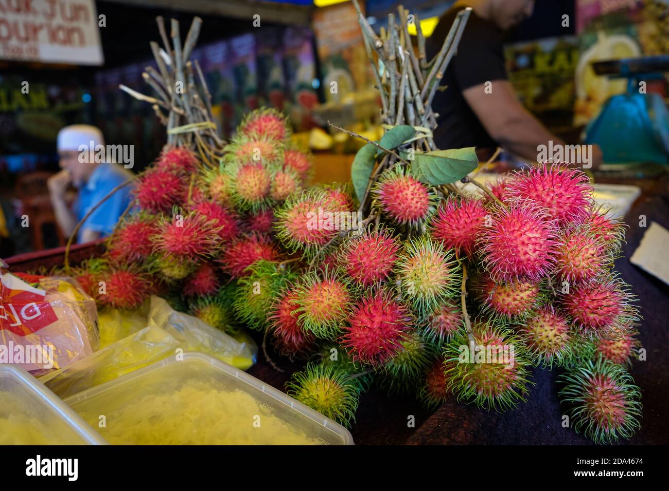 The rambutan is a medium-sized tropical tree in the family Sapindaceae ...