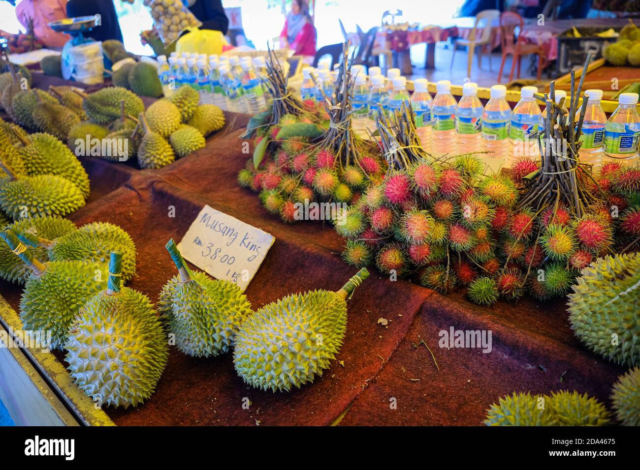 Closed up shot of The Musang King durian, also known by its original ...