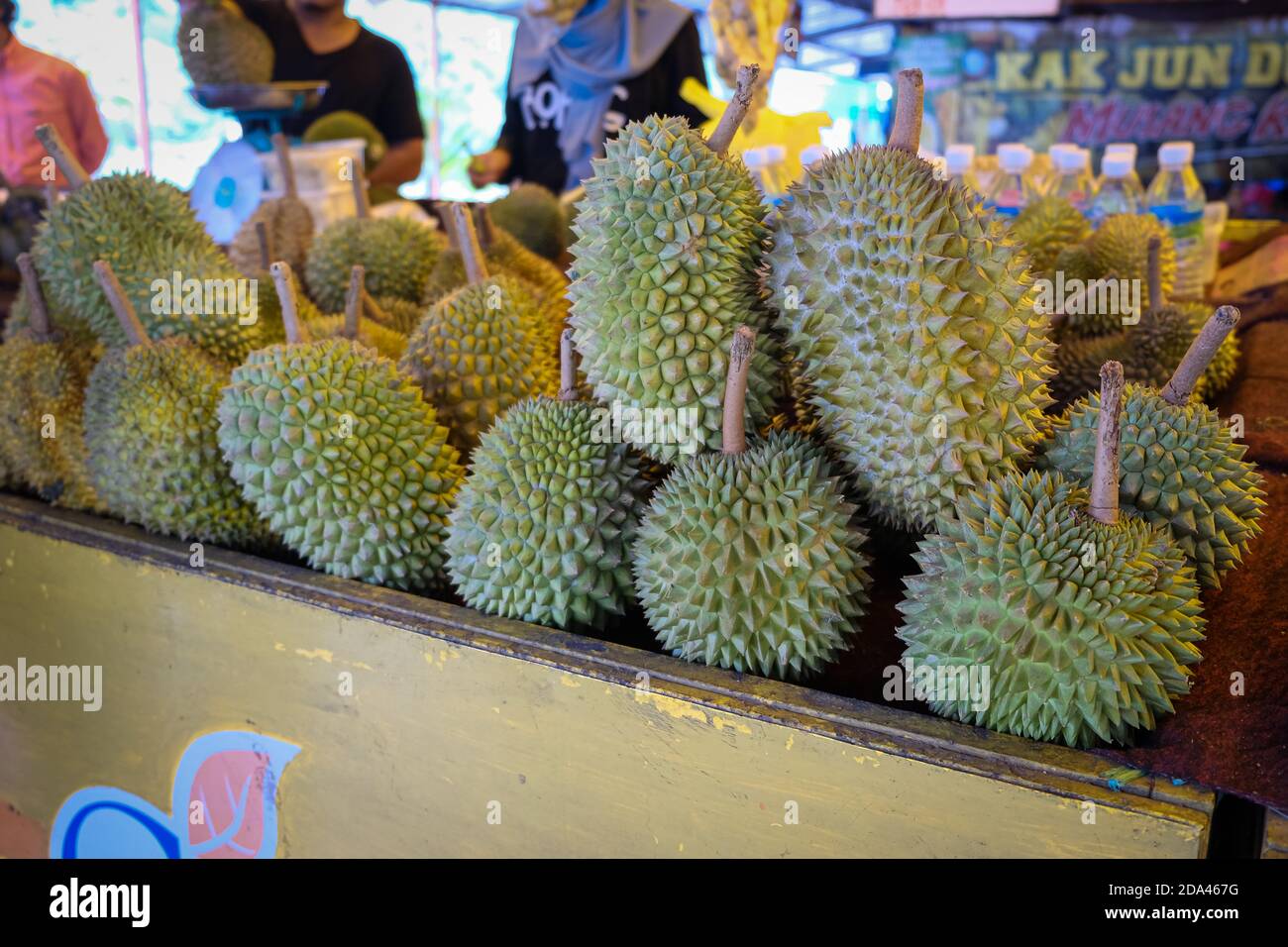 Closed up shot of The Musang King durian, also known by its original ...
