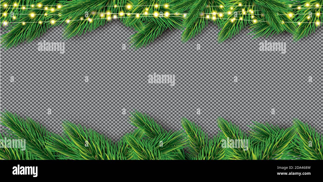 Fir Branch with Neon Lights on Transparent Background. Vector ...