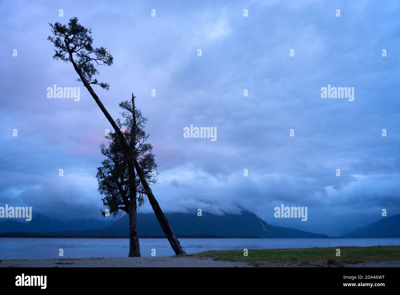 Lake Brunner at sunset, South Island, New Zealand Stock Photo - Alamy