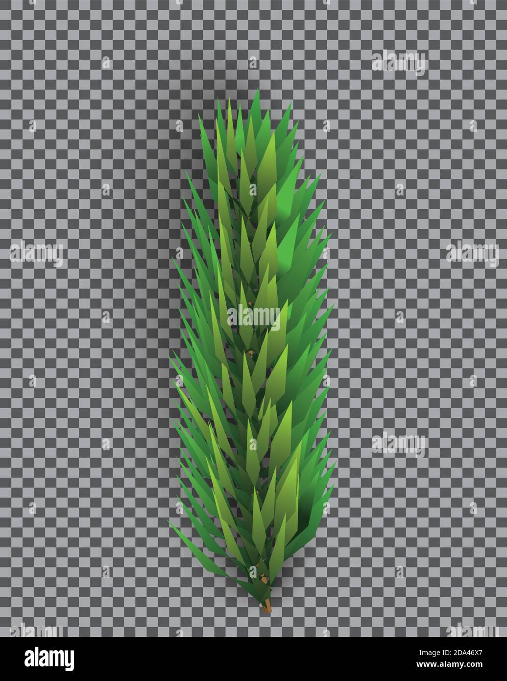 Fir Branch. Christmas Tree. Vector Illustration. Pine Sprig on ...