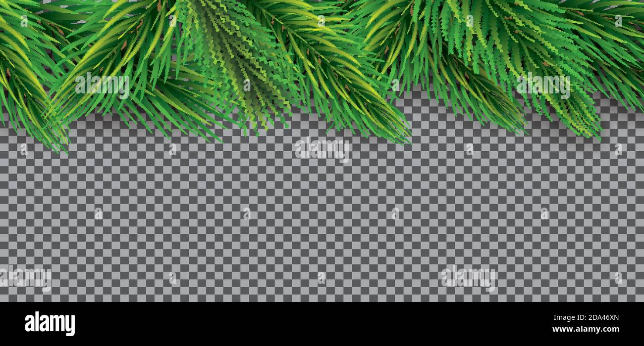 Christmas Decoration with Fir Branches on Transparent Background ...
