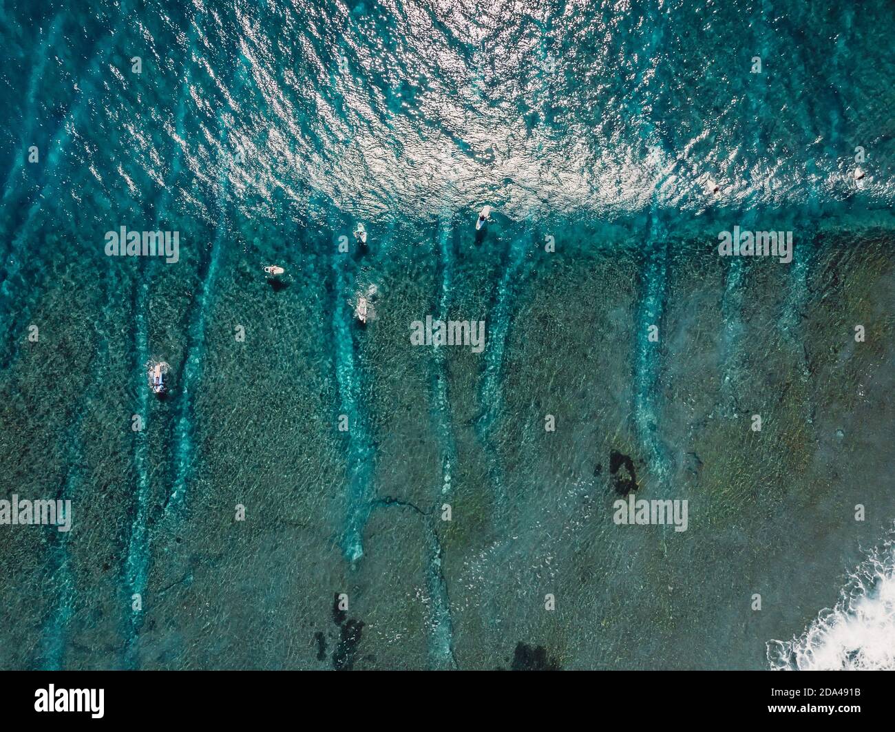 Aerial view of a surfers in blue ocean with waves. Top view Stock Photo ...