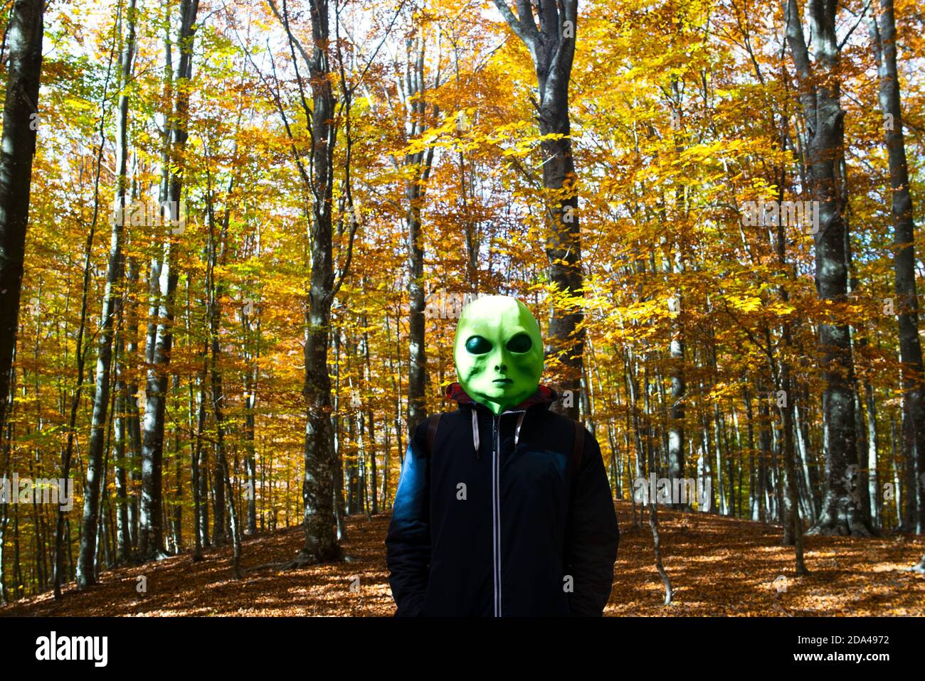 alien woman in the autumn forest Stock Photo - Alamy