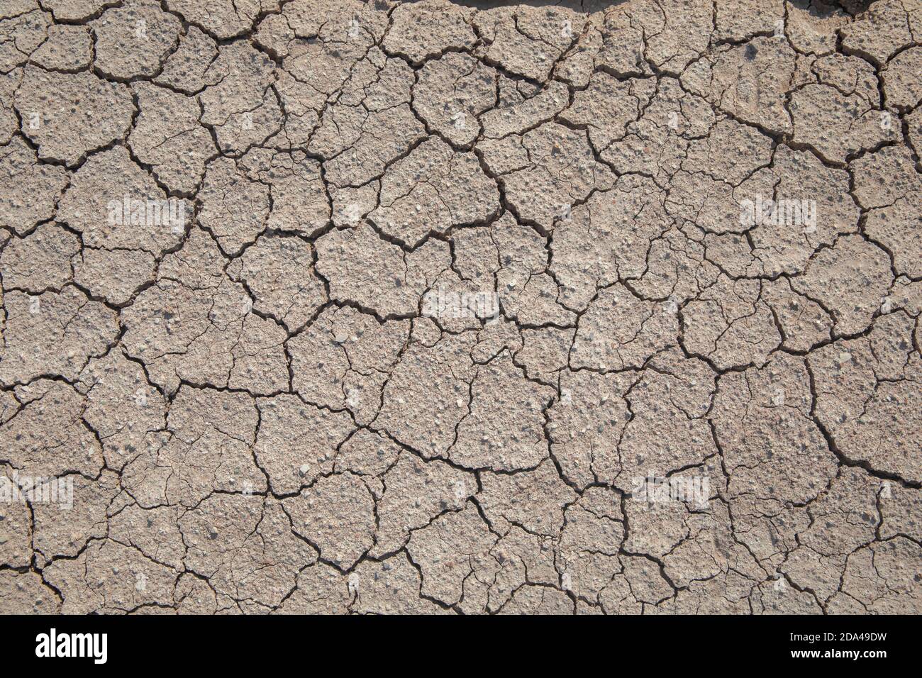 The texture of dried cracked mud flowed out of a mud volcano Stock ...