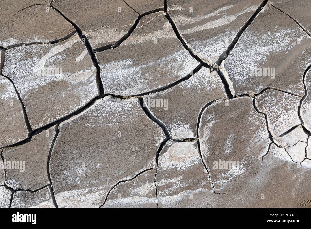 The texture of dried cracked mud flowed out of a mud volcano Stock ...