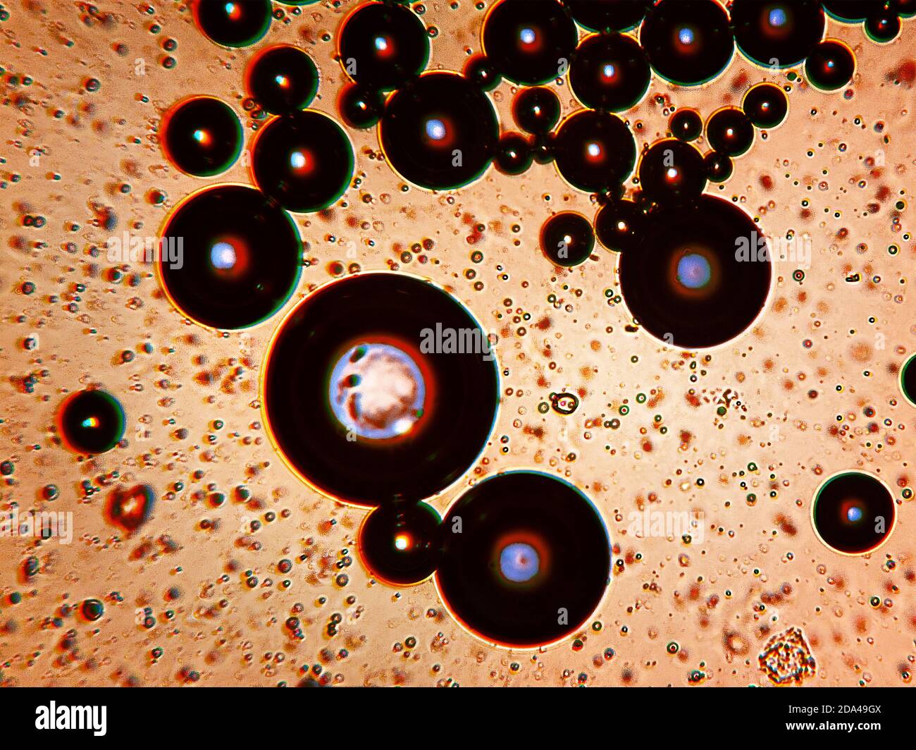 Coffee bubbles under the microscope Stock Photo - Alamy